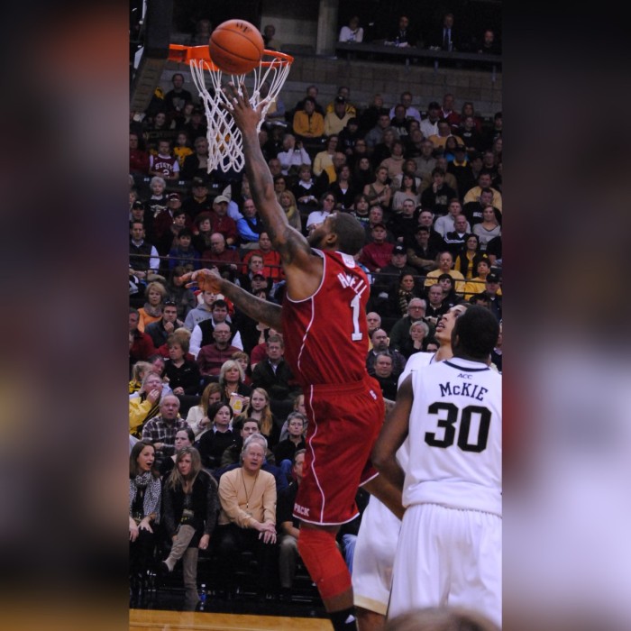 Richard Howell - TheSportsDB.com